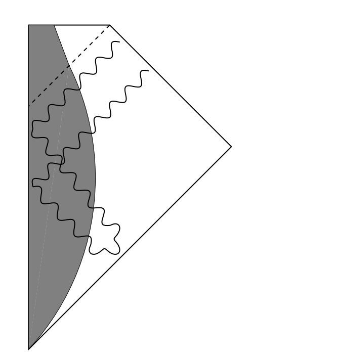 Adam Helfer – Black hole evaporation? – the trans-Planckian problem ...