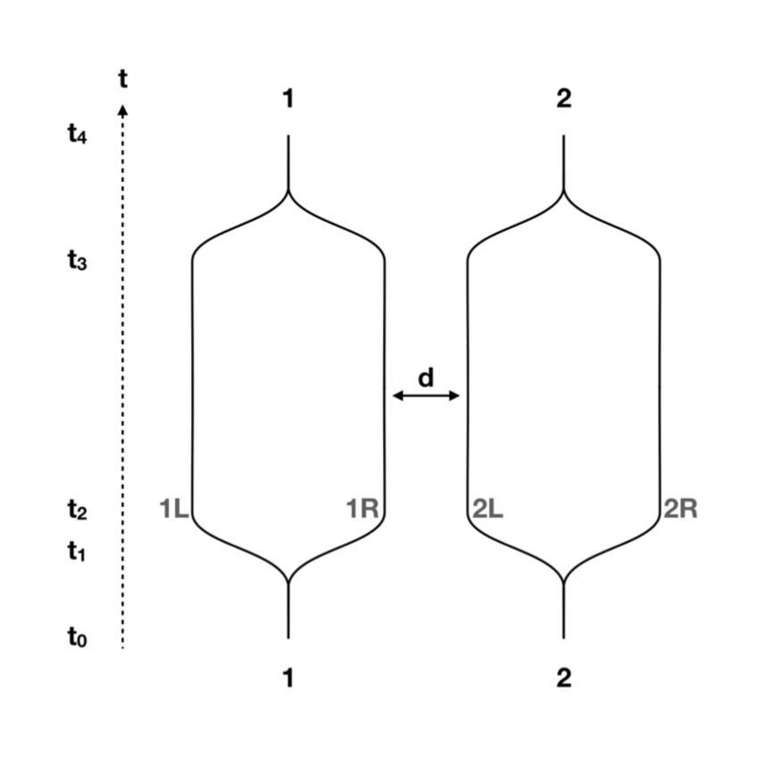 Quantum statistics in Bohmian trajectory gravity « General Relativity